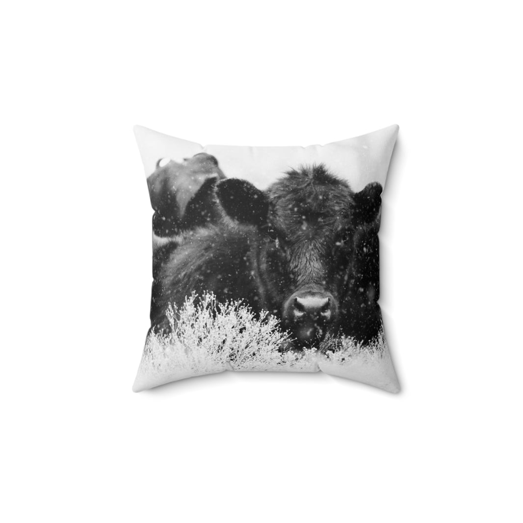 Frontier Frost – RanchChic